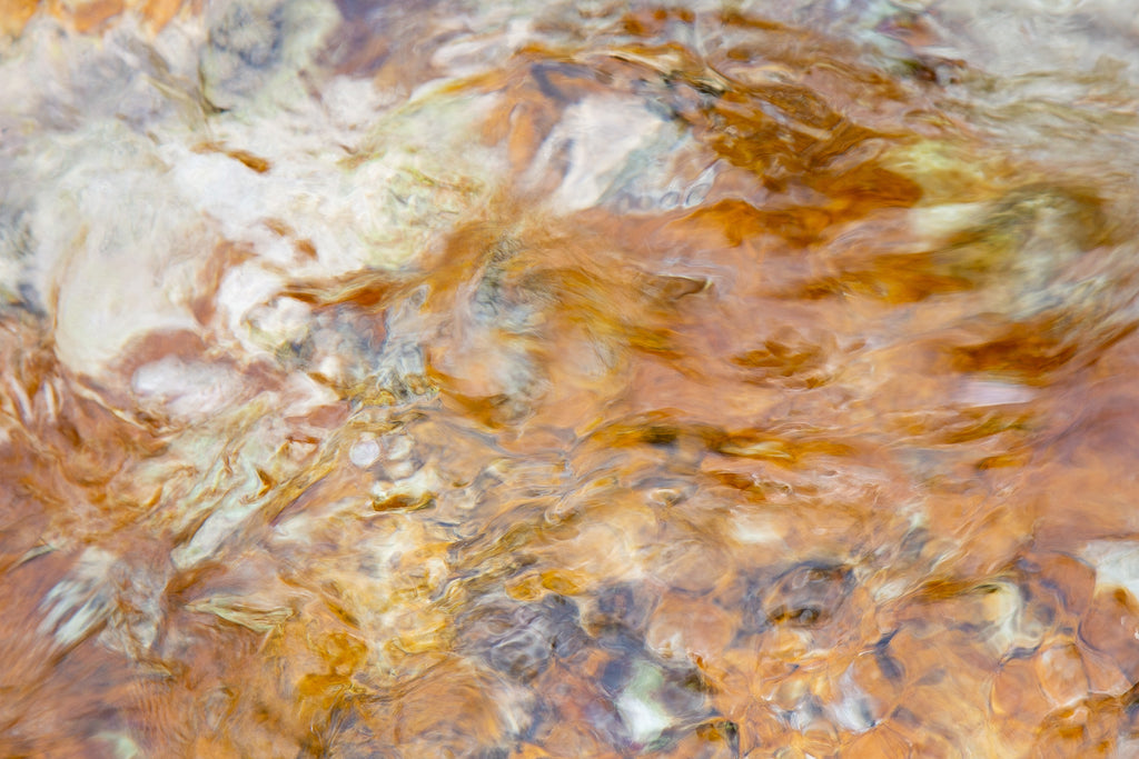 Rockpool: Rush hour – Big Sky Art Aus